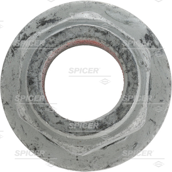 Spicer - 2008564 - Axle Nut