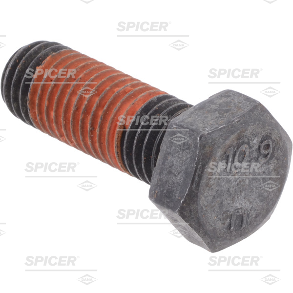 Spicer - 119882 - Locking Hub Spindle Nut
