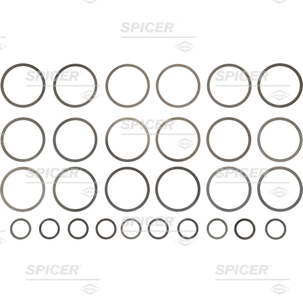 Spicer - 10043211 - Differential Carrier